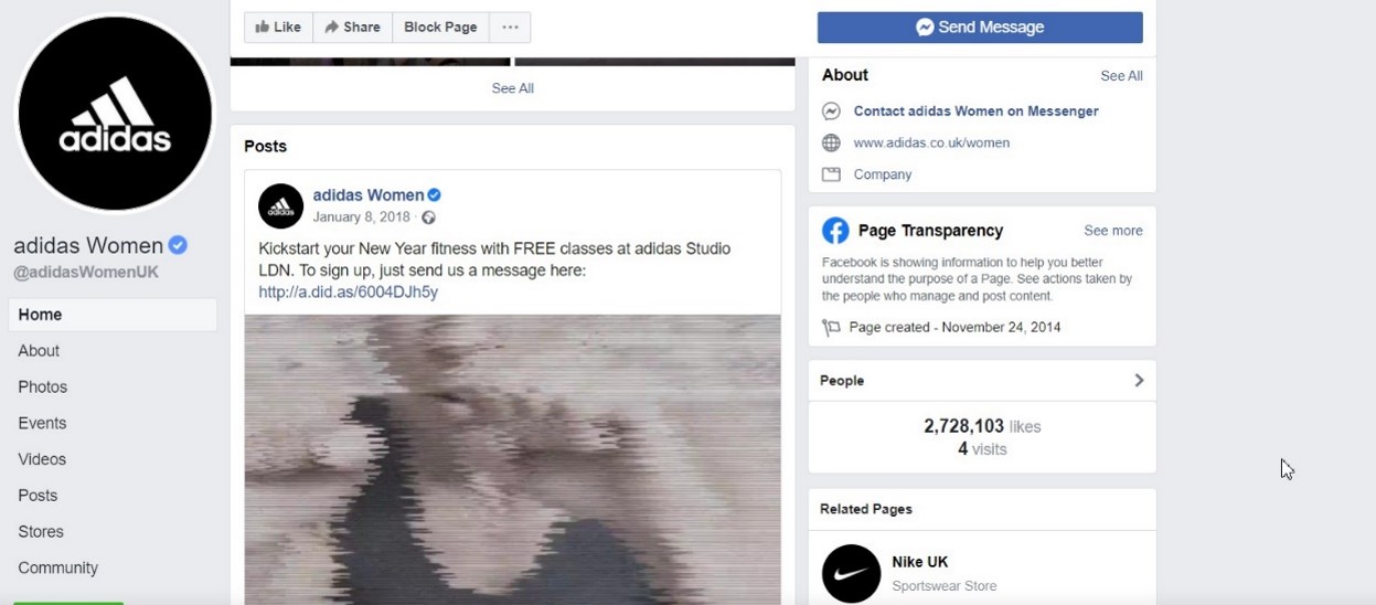 Adidas Company's Marketing Strategy Essay Example [Free]